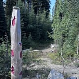 Mara Mountain - Mara Lookout Trail, British Columbia, Canada - 7 ...