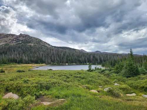 10 Best Trails and Hikes in Red Feather Lakes | AllTrails