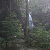 Sutherland Falls, British Columbia, Canada - 133 Reviews, Map | AllTrails