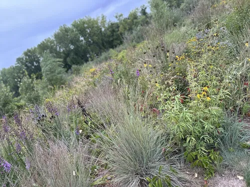 Best Hikes and Trails in Snail Lakes Regional Park | AllTrails