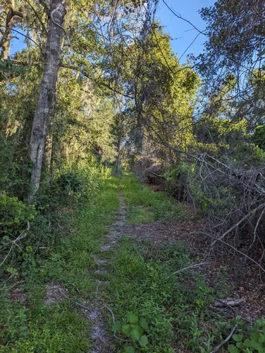 Best Hikes and Trails in Rye Preserve | AllTrails