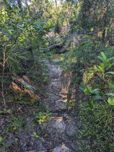 Best Hikes and Trails in Rye Preserve | AllTrails