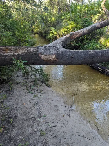 Best Hikes and Trails in Rye Preserve | AllTrails