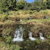 Cascade Springs Interpretive Trail, Utah - 458 Reviews, Map | AllTrails