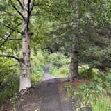 Bodenburg Butte via West Butte Trail, Alaska - 1,253 Reviews, Map ...