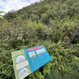Bodenburg Butte via West Butte Trail, Alaska - 1,253 Reviews, Map ...