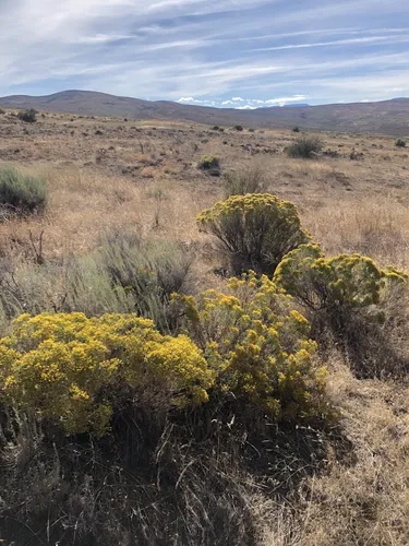 Melhores caminhadas e trilhas em Snow Mountain Ranch (Cowiche Canyon ...