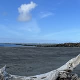 Damon Point State Park Trail, Washington - 513 Reviews, Map | AllTrails