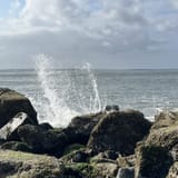 Damon Point State Park Trail, Washington - 513 Reviews, Map | AllTrails
