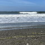 Damon Point State Park Trail, Washington - 513 Reviews, Map | AllTrails