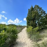 Warren Dunes Trail, Michigan - 1,129 Reviews, Map | AllTrails