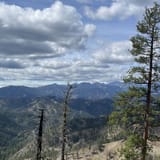 Tronsen Ridge Trail, Washington - 123 Reviews, Map | AllTrails