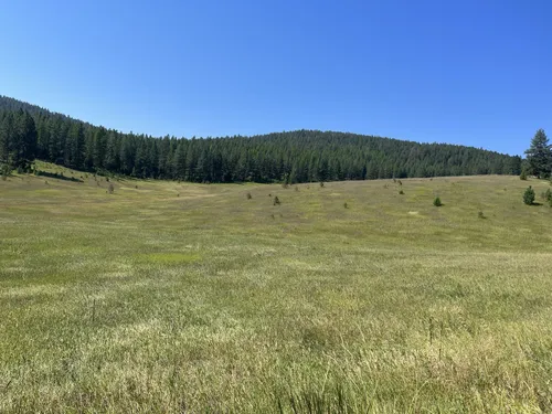 Best 10 Hikes and Trails in Rattlesnake National Recreation Site ...