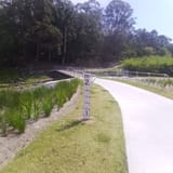 Kedron Brook Track, Queensland, Australia - 86 Reviews, Map | AllTrails