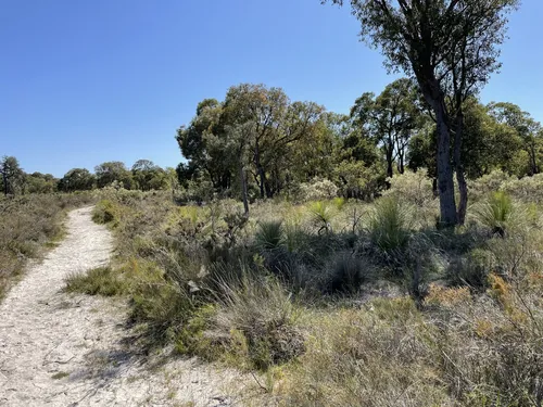 Best Hikes and Trails in Talbot Road Nature Reserve | AllTrails