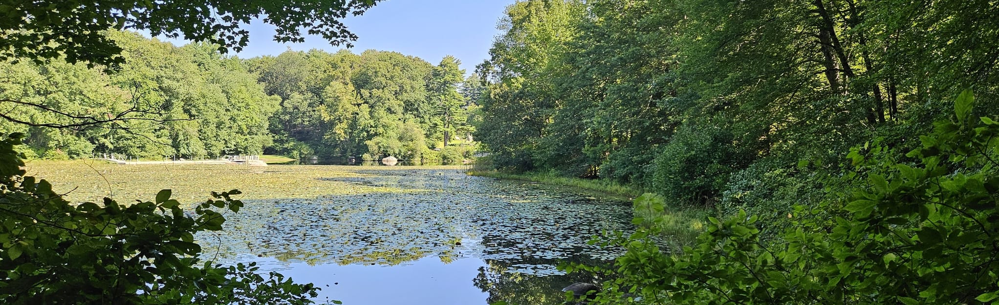Connecticut College Arboretum, Connecticut - 331 Reviews, Map | AllTrails