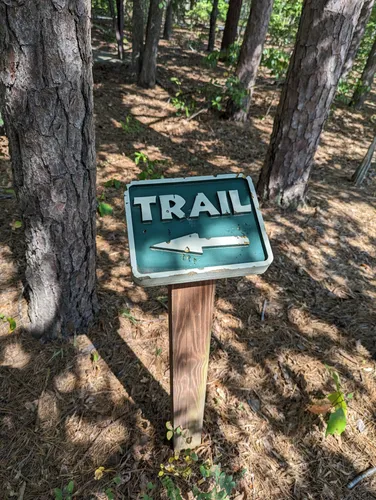 Best Hikes and Trails in Cape May County Park | AllTrails
