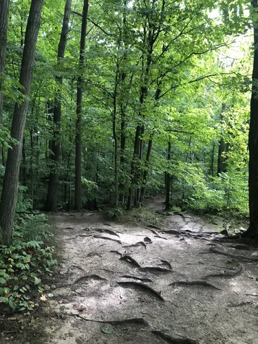 Bedste vandreture og ruter i Rattlesnake Point Conservation Area ...