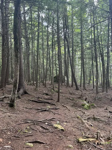 Best Hikes and Trails in Spednic Lake Provincial Park | AllTrails