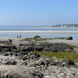 Timber Point, Maine - 397 Reviews, Map | AllTrails