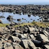 Timber Point, Maine - 397 Reviews, Map | AllTrails