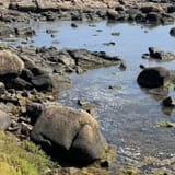 Timber Point, Maine - 397 Reviews, Map | AllTrails