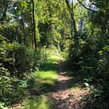 Five Mile Trail, New York - 1,214 Reviews, Map | AllTrails