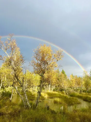 10 Best Lake Trails in Urho Kekkonen National Park | AllTrails