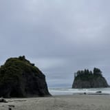 Second Beach, Washington - 1,537 Reviews, Map | AllTrails