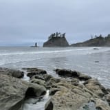 Second Beach, Washington - 1,572 Reviews, Map | AllTrails