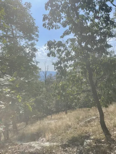 Best Hikes and Trails in Berkeley Springs | AllTrails