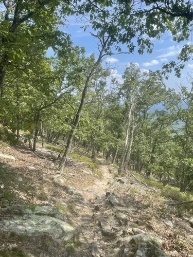 Best Hikes and Trails in Berkeley Springs | AllTrails