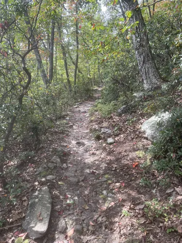 Best Hikes and Trails in Berkeley Springs | AllTrails