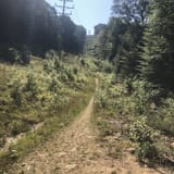 Western Ridge Trail to Overlook, New York - 677 Reviews, Map | AllTrails