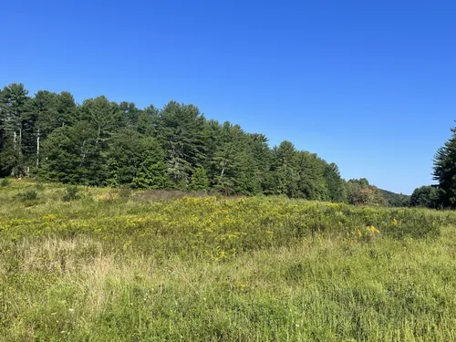 Best Hikes and Trails in Roraback Wildlife Management Area | AllTrails