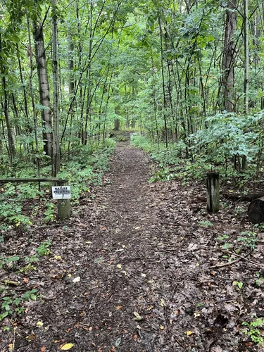Best Hikes and Trails in Fawn River Nature Preserve | AllTrails