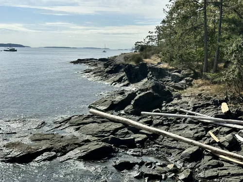 2023 Best Easy Trails in Ruckle Provincial Park | AllTrails