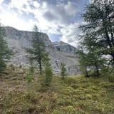 Skoki Loop Backpacking Trail, Alberta, Canada - 355 Reviews, Map ...