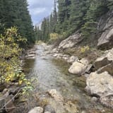 Skoki Loop Backpacking Trail, Alberta, Canada - 355 Reviews, Map ...