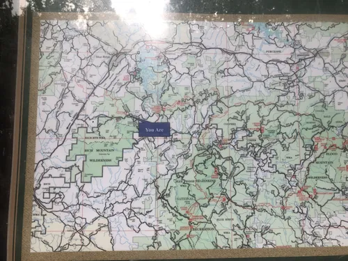 2023 Best 10 Trails and Hikes in Cherry Log | AllTrails