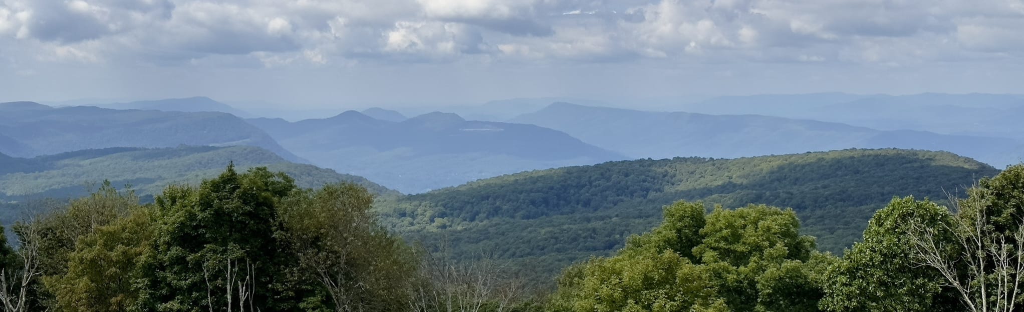High Knob Tower: 50 foto's - Virginia | Wandelen - AllTrails