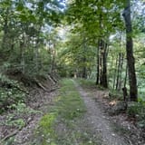 Old Loggers and Stony Trail Loop, Pennsylvania - 54 Reviews, Map ...