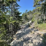 Perpendicular and Razorback Loop, Maine - 315 Reviews, Map | AllTrails