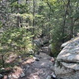 Perpendicular and Razorback Loop, Maine - 315 Reviews, Map | AllTrails