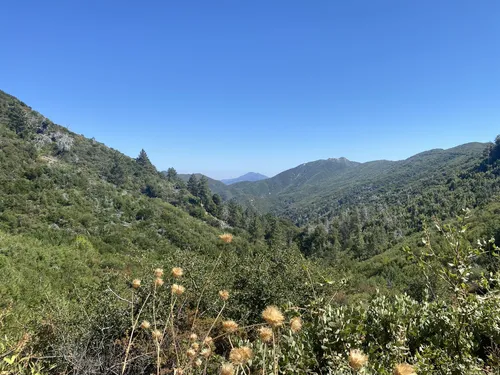 10 Best Hikes and Trails in Ventana Wilderness | AllTrails