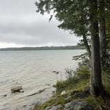 Cyprus Lake Trail, Ontario, Canada - 314 Reviews, Map | AllTrails