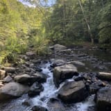 Meadow Run Trail, Pennsylvania - 1,042 Reviews, Map | AllTrails