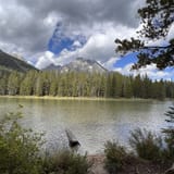 String Lake Trail, Wyoming - 1,939 Reviews, Map | AllTrails