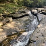 Meadow Run Trail, Pennsylvania - 1,042 Reviews, Map | AllTrails