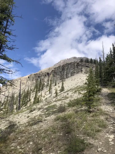 Best Hikes and Trails in Fish Lake Provincial Recreation Area | AllTrails